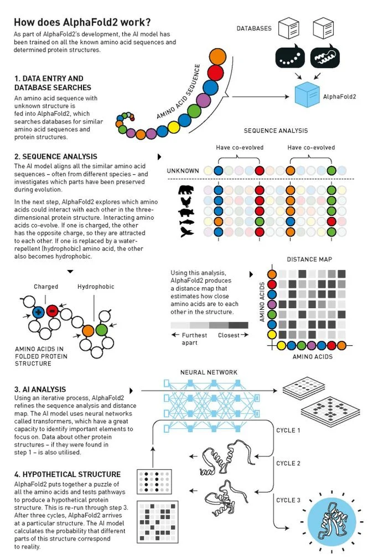 Nobel Prize in Chemistry 2024: Protein design and protein structure prediction DeepMind win ...